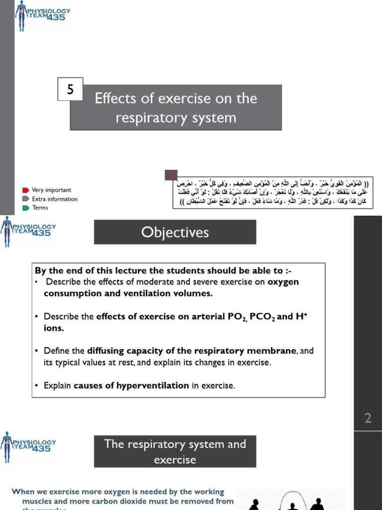 5 - Effects of Exercise On The Respiratory System | PDF | Respiratory ...
