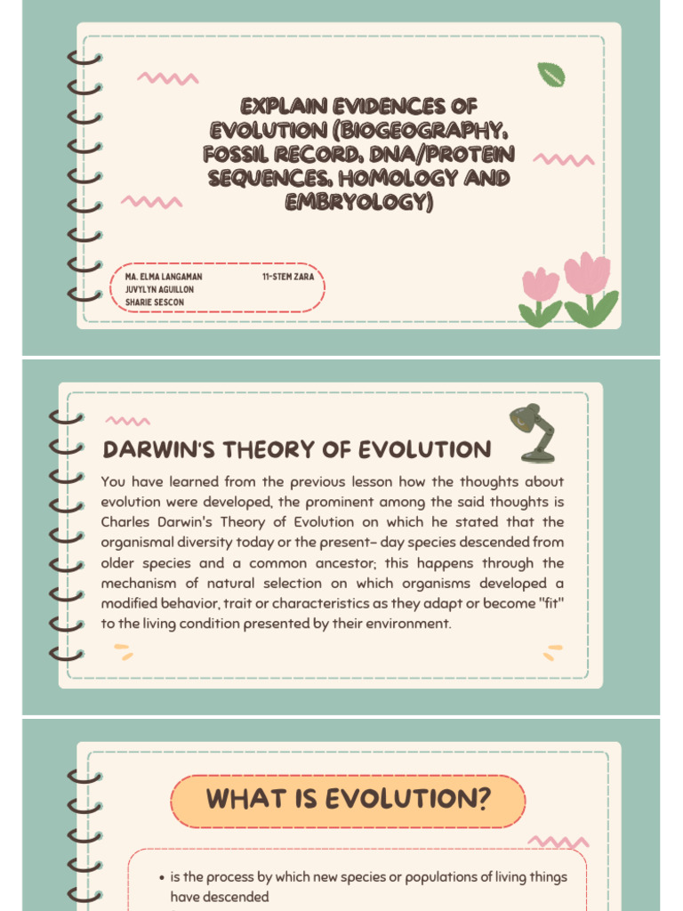 Evidence of Evolution Explained | PDF | Evolution | Homology (Biology)