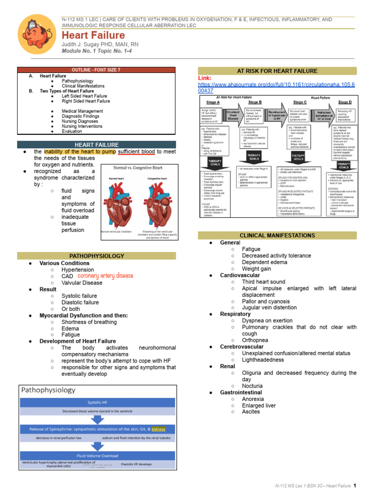 Med Surg 1 Transes | PDF | Heart Valve | Hypertension
