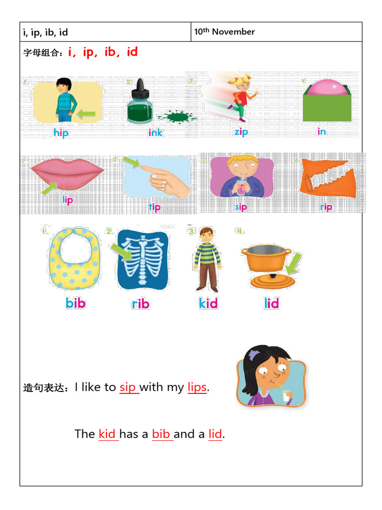 Phonics Practice: i, ip, ib, id | PDF