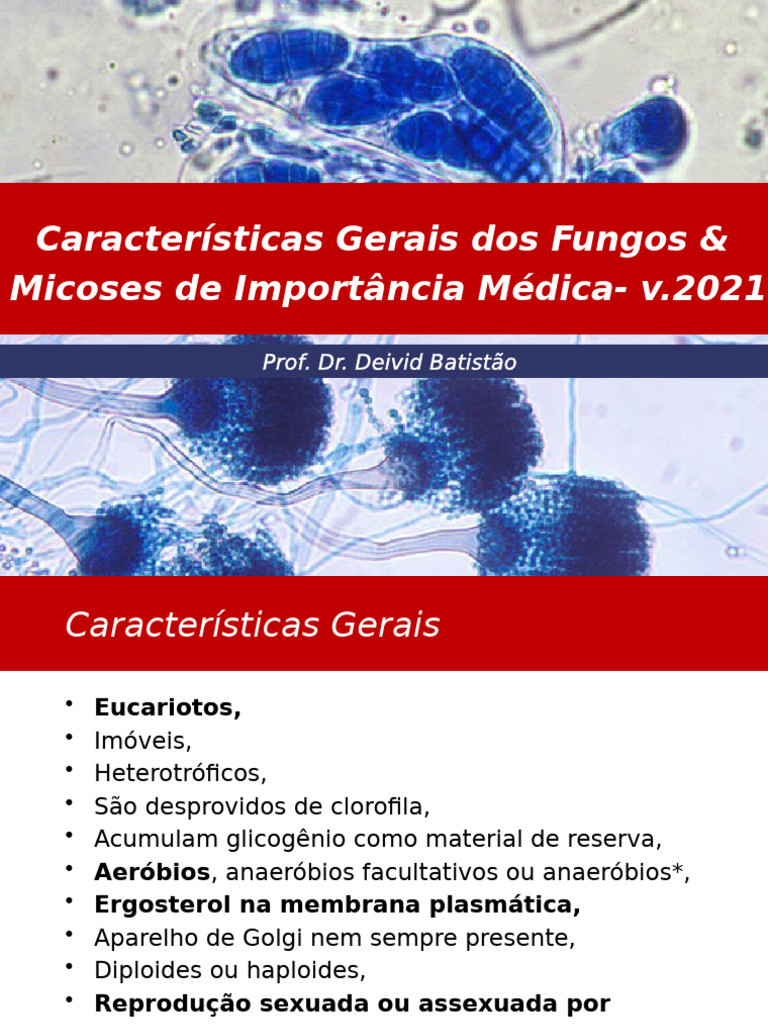 Micoses Superficiais, Cutâneas e Subcutâneas | PDF | Fungo | Fermento