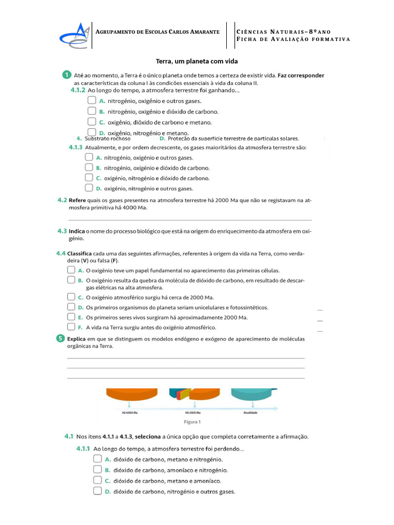 Ficha_formativa_1 | PDF