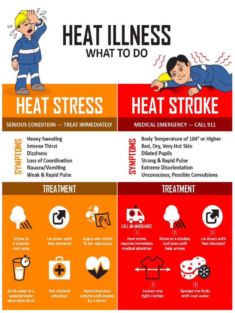 Heat Stress Poster | PDF