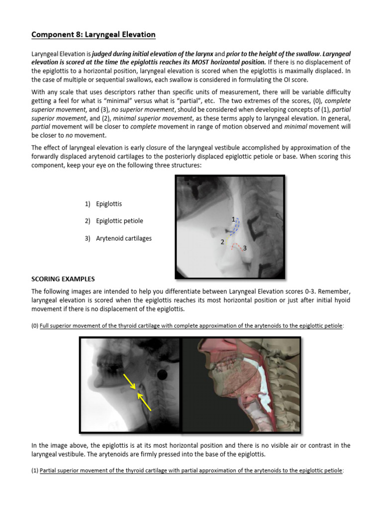 8-Scoring - Tips - PDF Sıkıştırılmış | PDF | Larynx | Human Throat