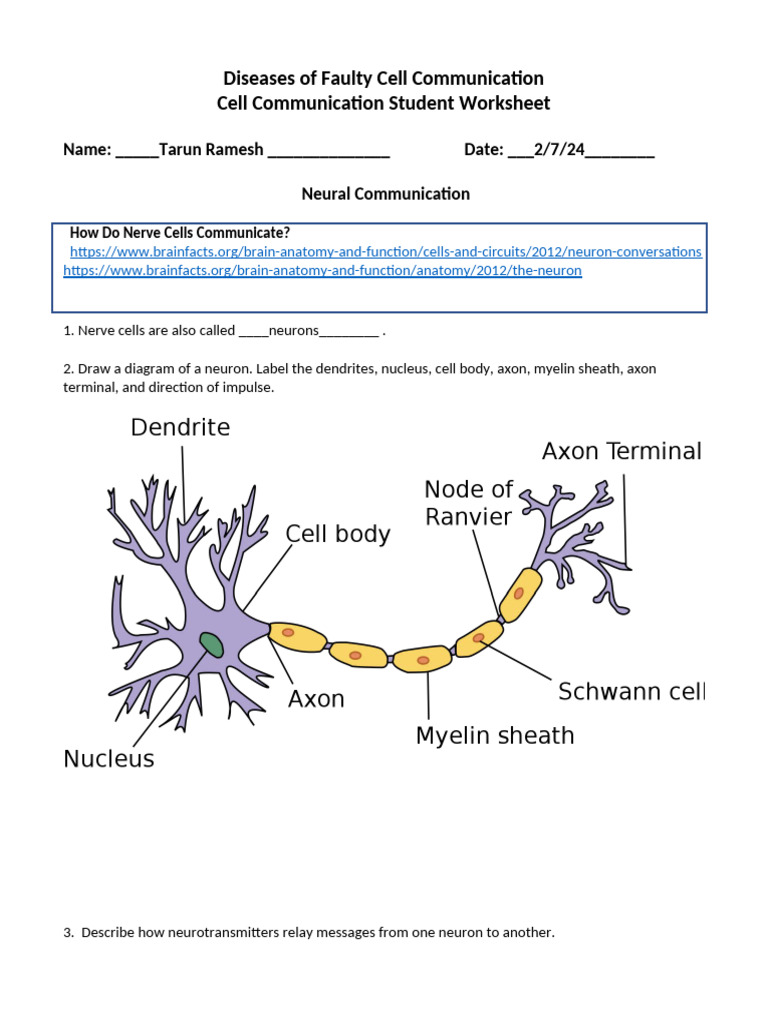 Copy of STV Diseases of Faulty Cell Communication cah | PDF | Neuron ...