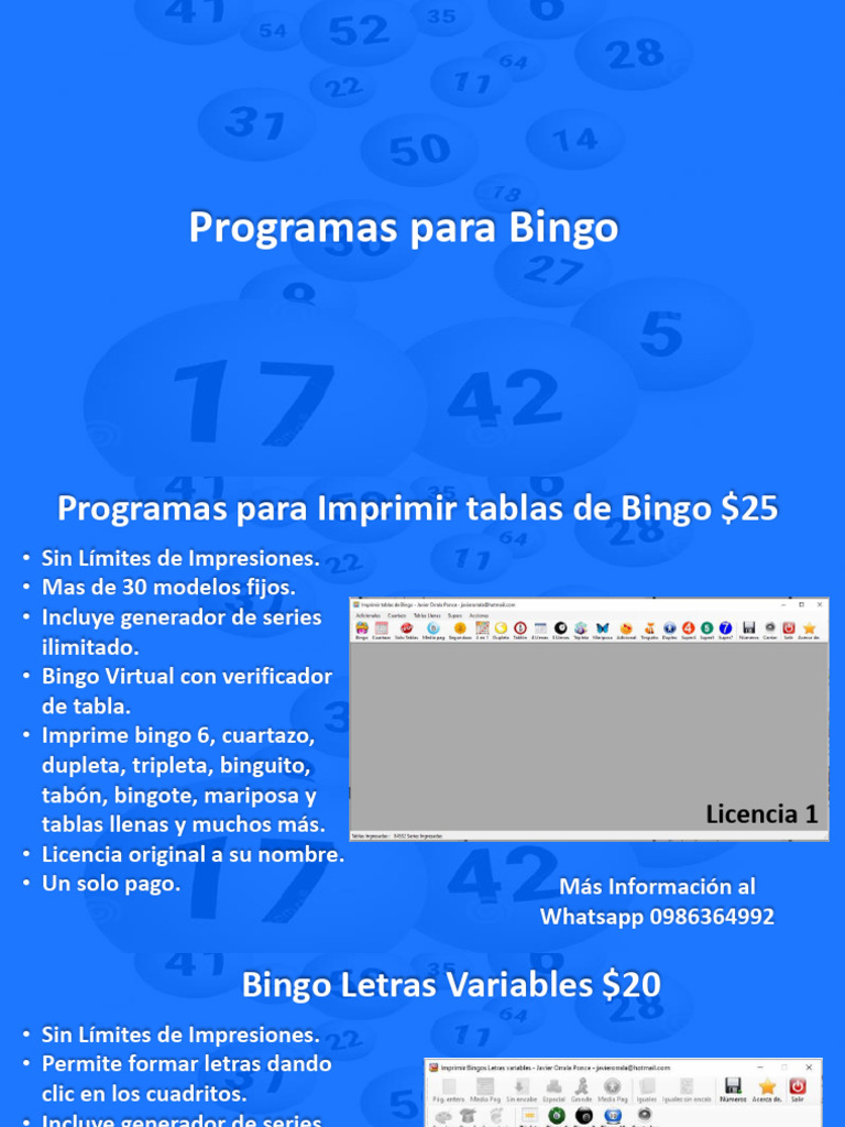 Programas de Bingo Personalizados | PDF | Informática