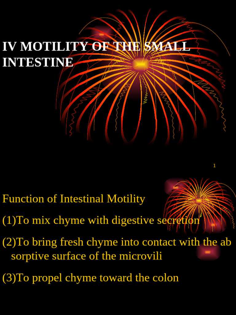 Si Motility | PDF | Gastrointestinal Tract | Anatomy