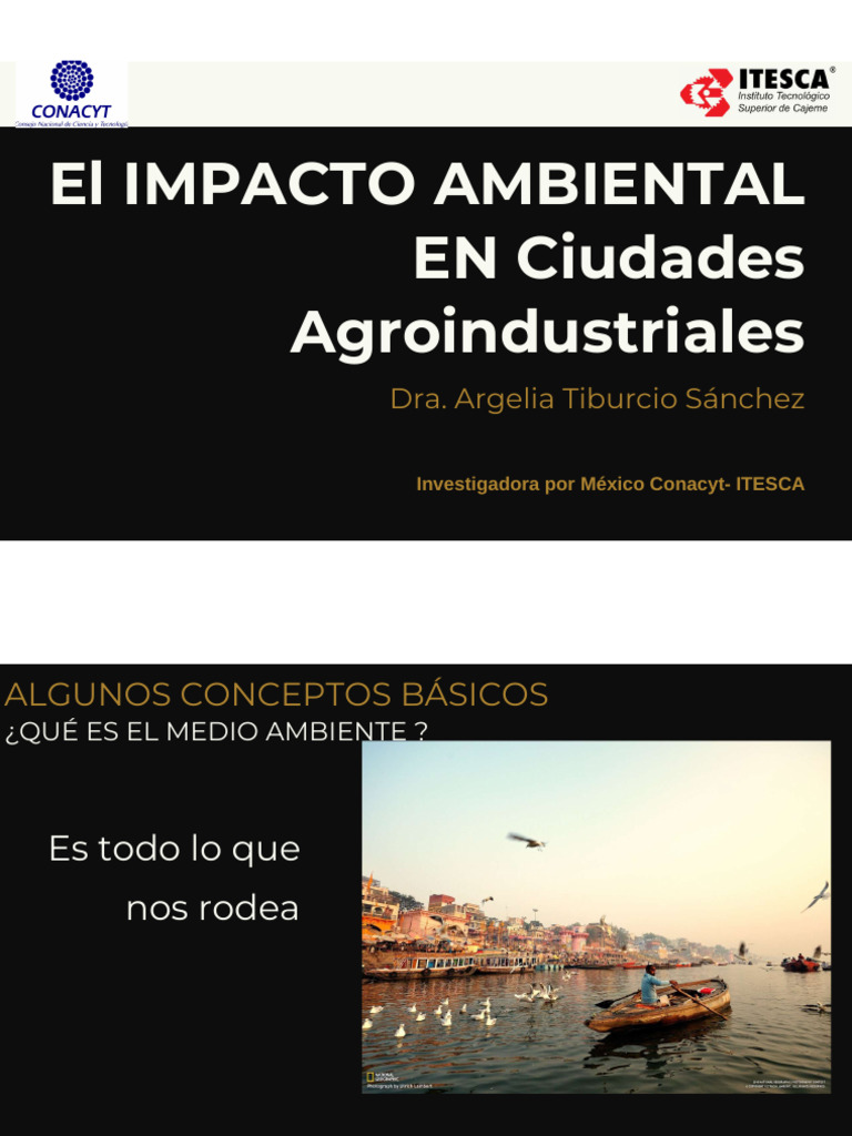 Impacto Ambiental en Ciudades Agroindustriales | PDF | Entorno natural ...