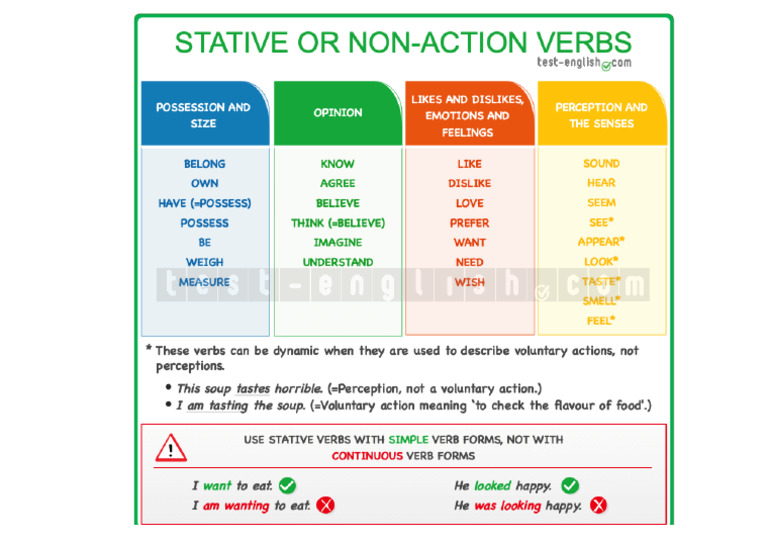 Stative Verbs Most Used | PDF