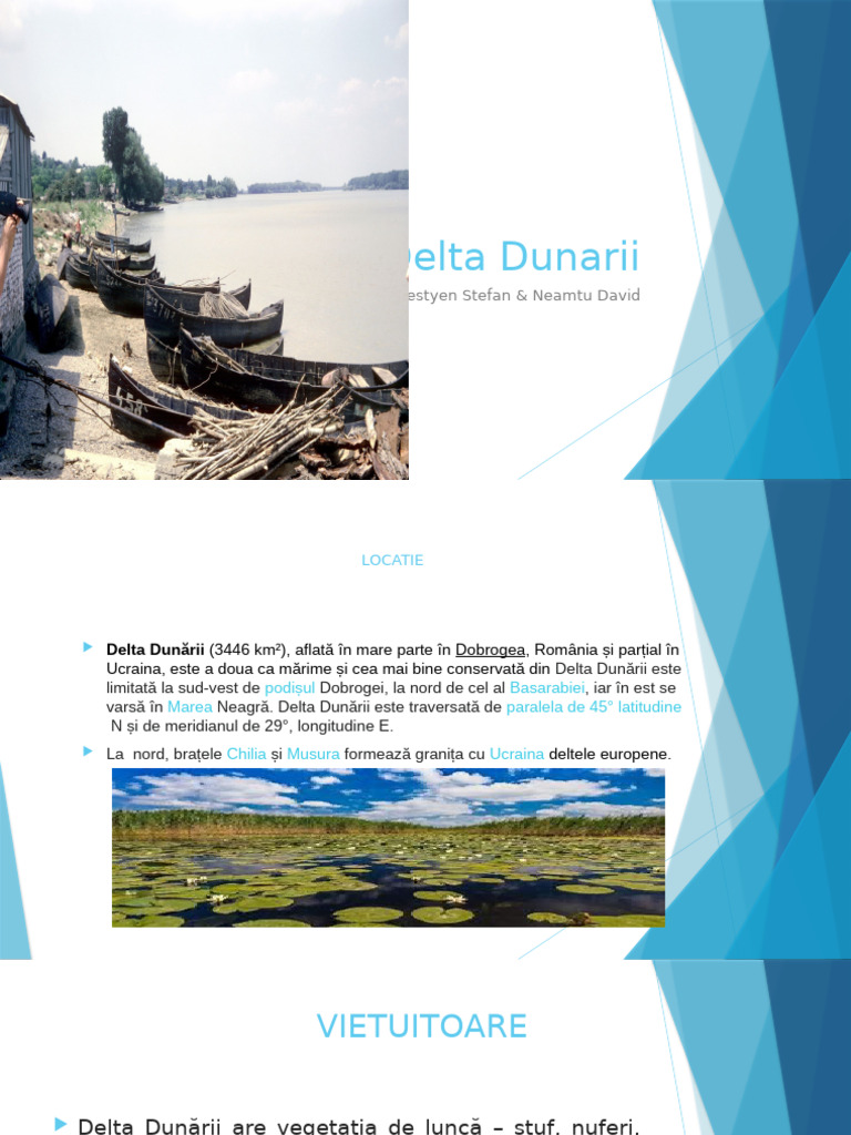 Delta Dunarii | PDF