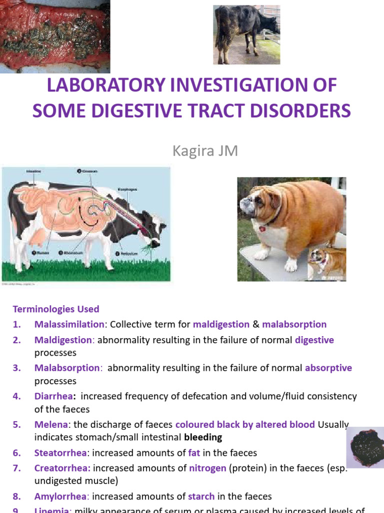 Lecture 8 - LABORATORY INVESTIGATION OF SOME DIGESTIVE TRACT and ...