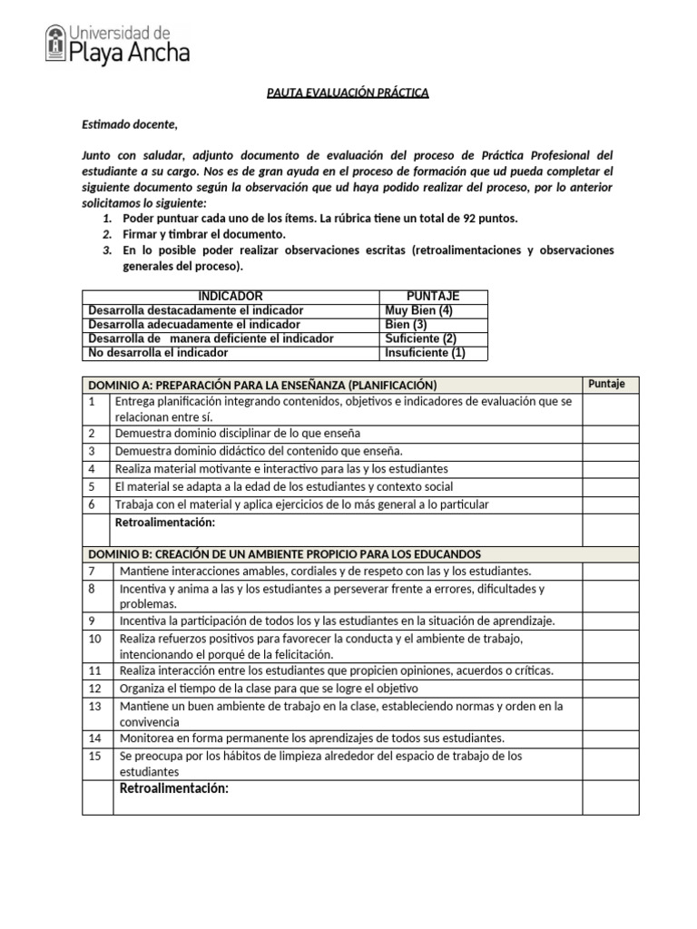 Pauta Evaluación Práctica | PDF | Evaluación | Aprendizaje