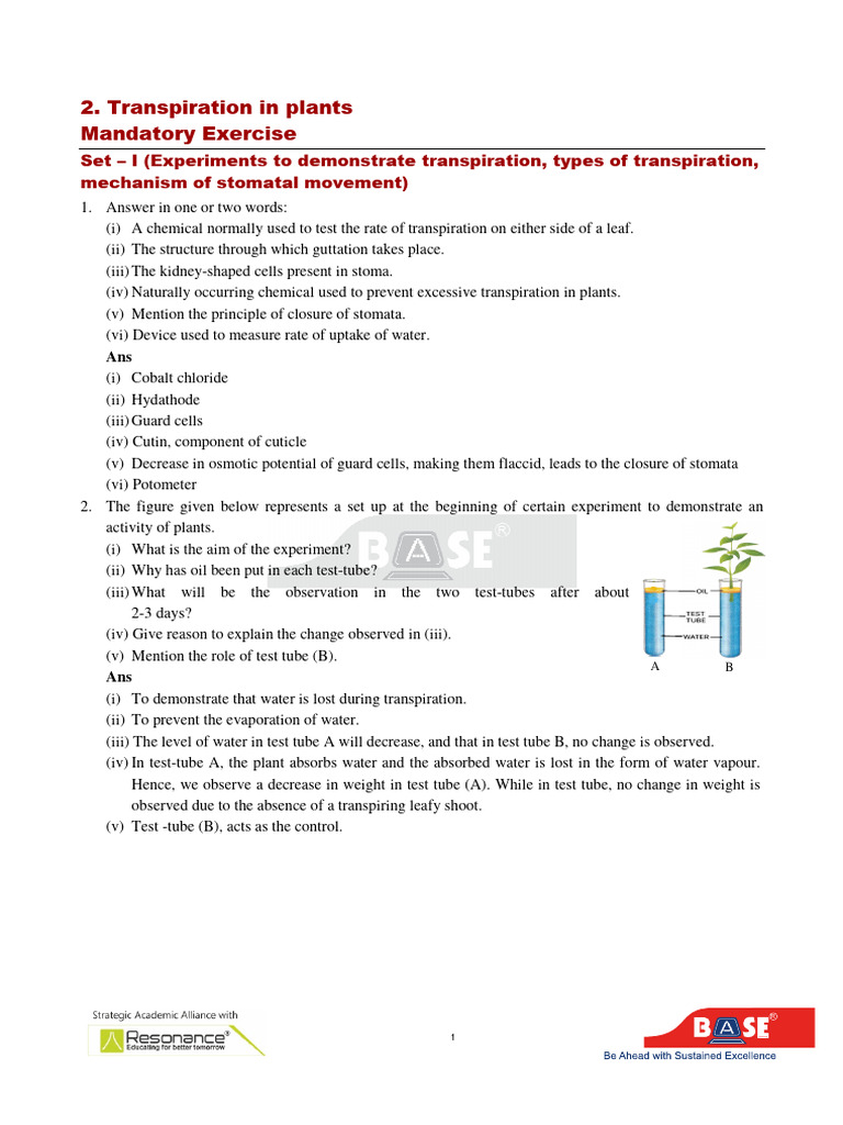 Transpiration in Plants | PDF | Stoma | Leaf