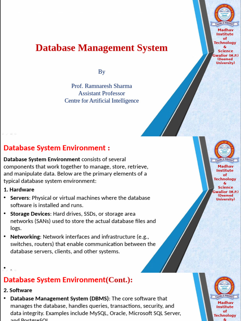 On Databse System Environment | PDF | Databases | No Sql
