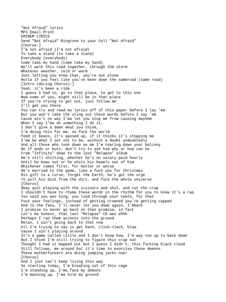 Eminem Lyrics - Not Afraid | PDF