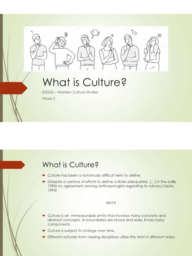 What Is Culture? | PDF