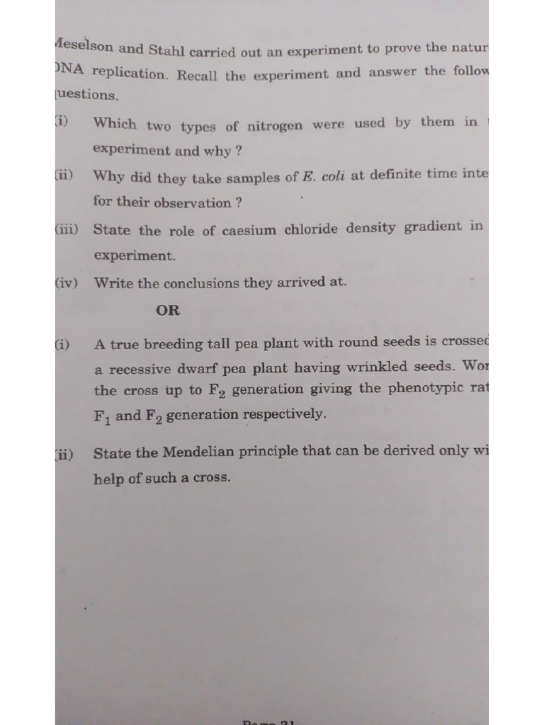 Sample Questions | PDF