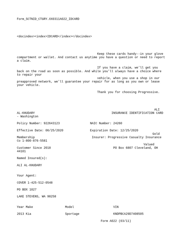 P GR Insurance Id Card Auto | PDF