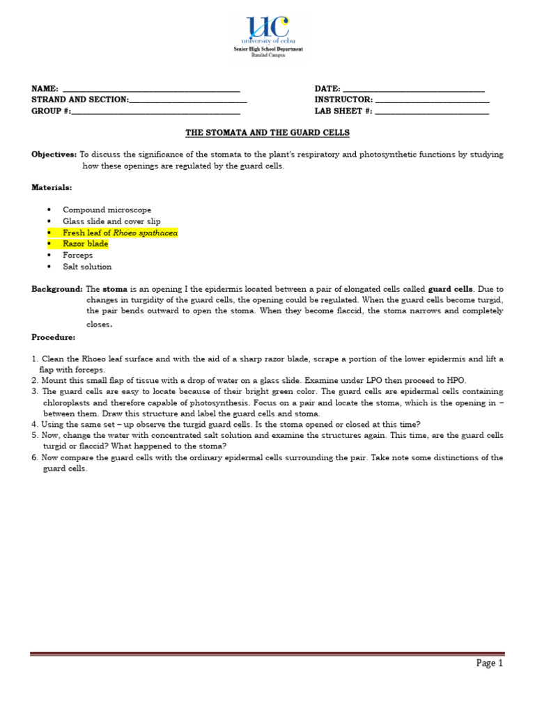 STOMATA and GUARD CELLS (Lab) | PDF | Stoma | Leaf