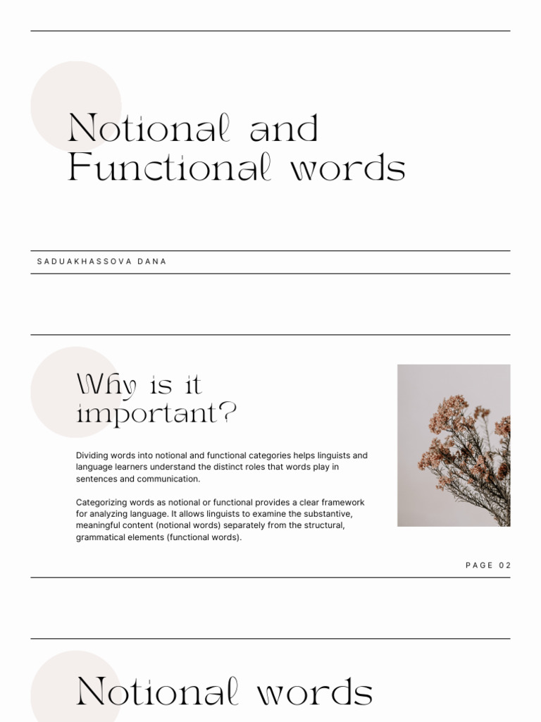 Notional vs. Functional Words Explained | PDF | Word | Noun