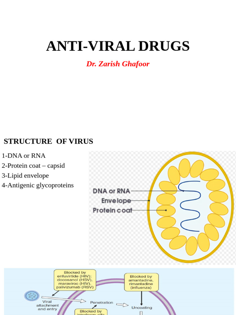 Comprehensive Guide to Anti-Viral Drugs | PDF | Antiviral Drug | Virus