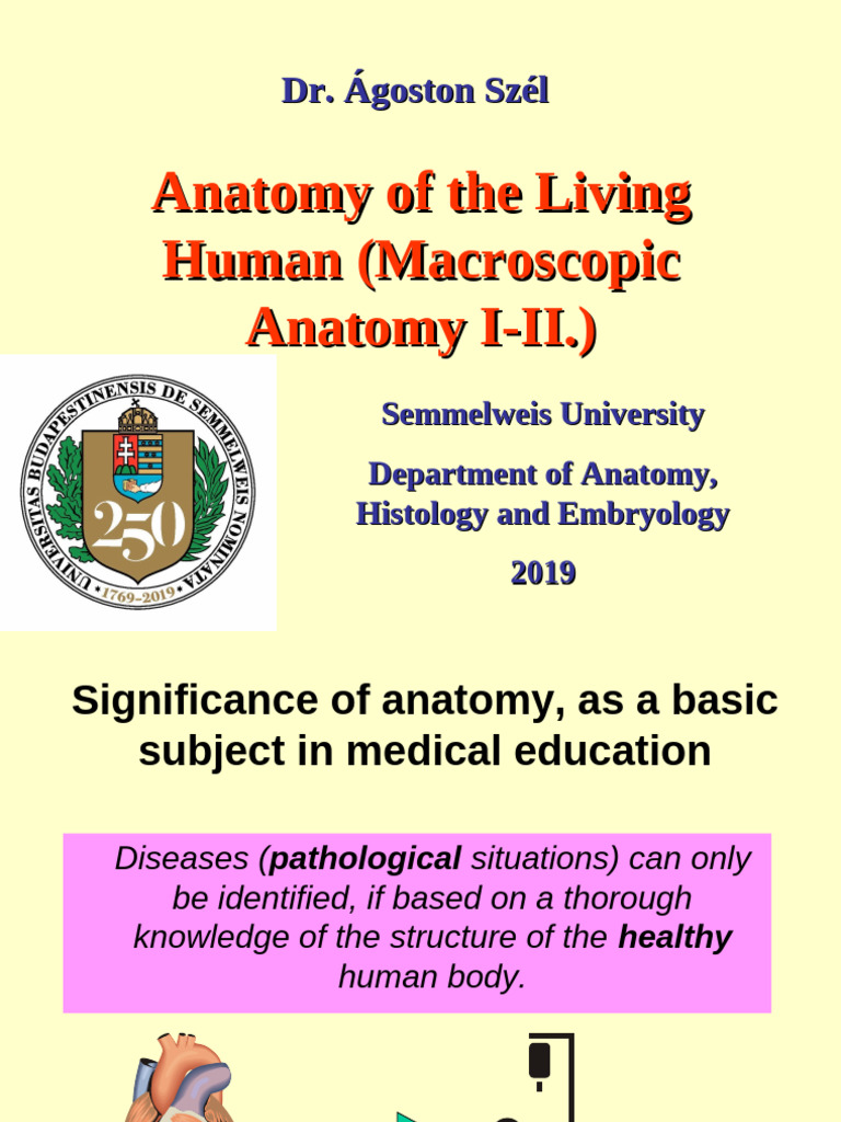 Introduction 2019 Angol 2 | PDF | Anatomy | Pathology