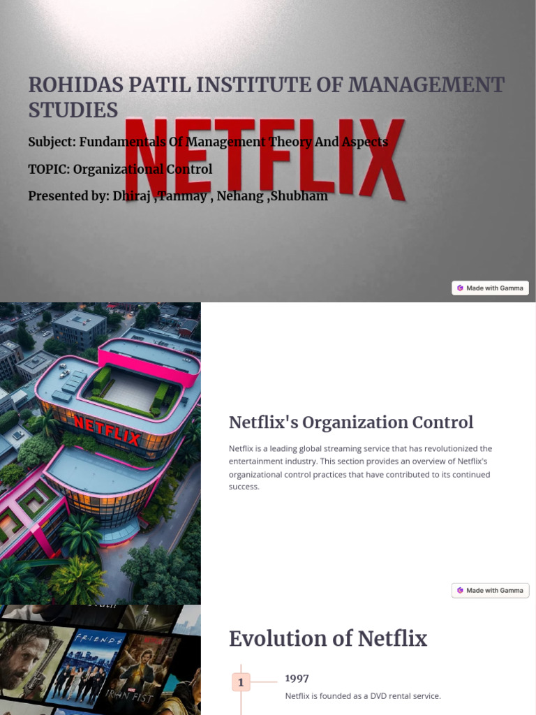 Rohidas Patil Institute of Management Studies | PDF | Innovation | Netflix