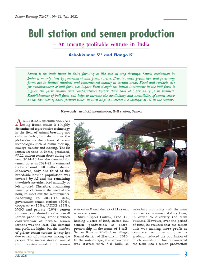 ojsadmin,+03+Bull+station+and+semen | PDF | Cattle | Dairy