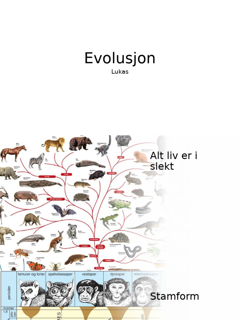 Evolusjon | PDF