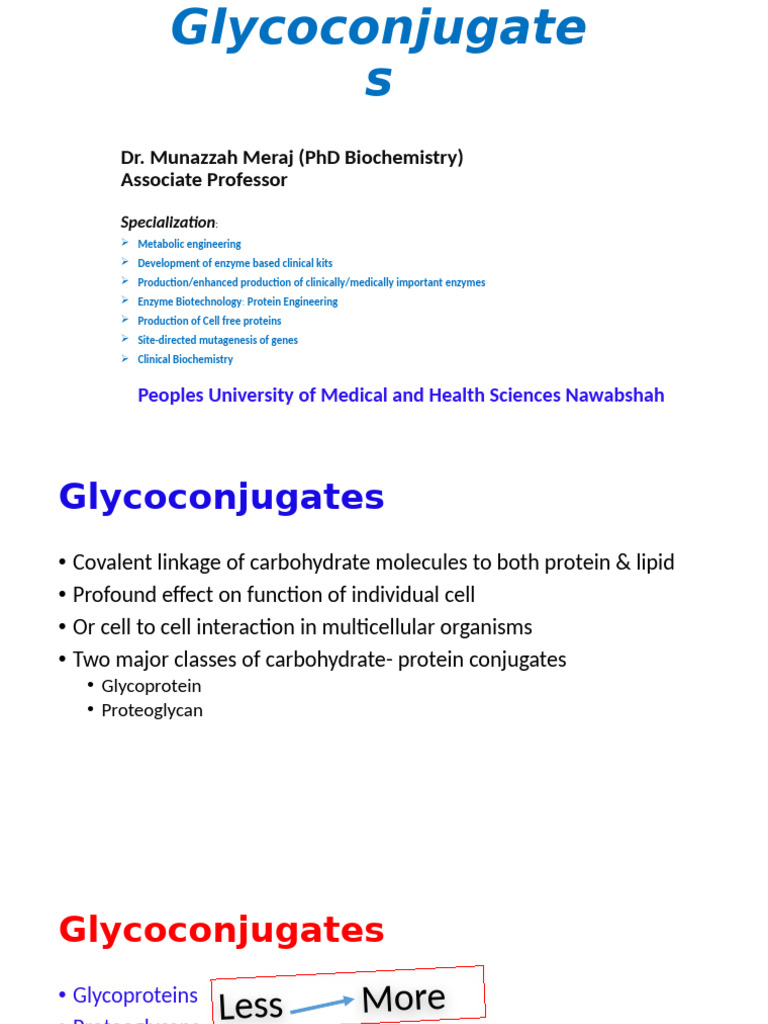 Lec 5 Glycoconjugates | PDF