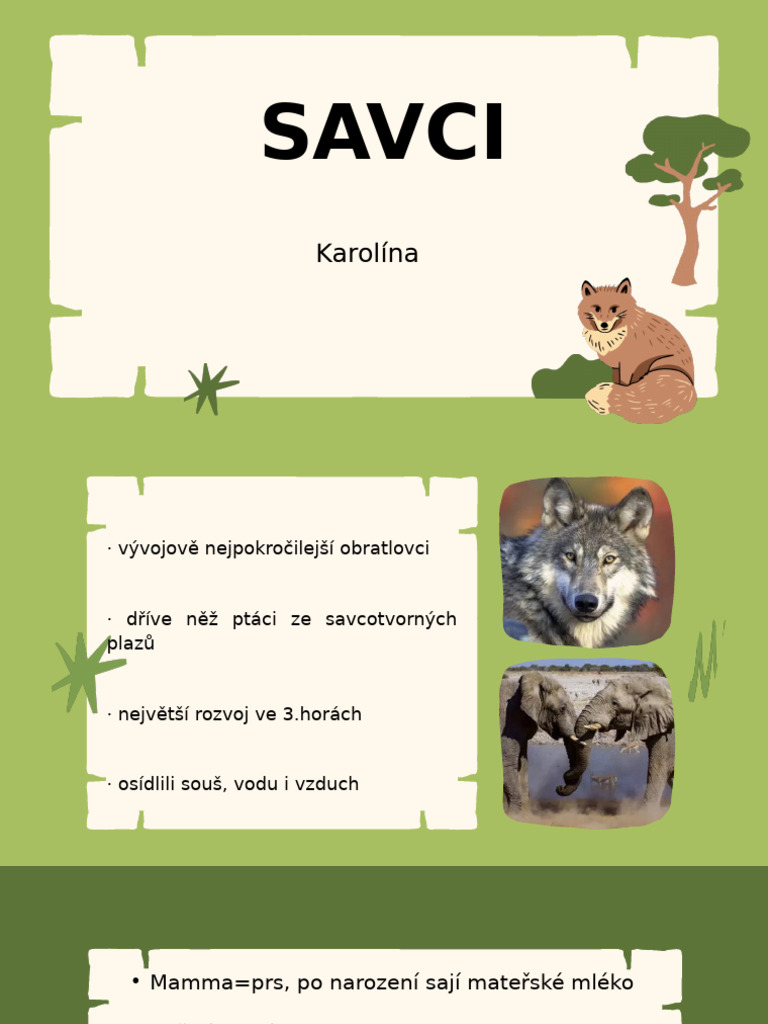 Savci | PDF