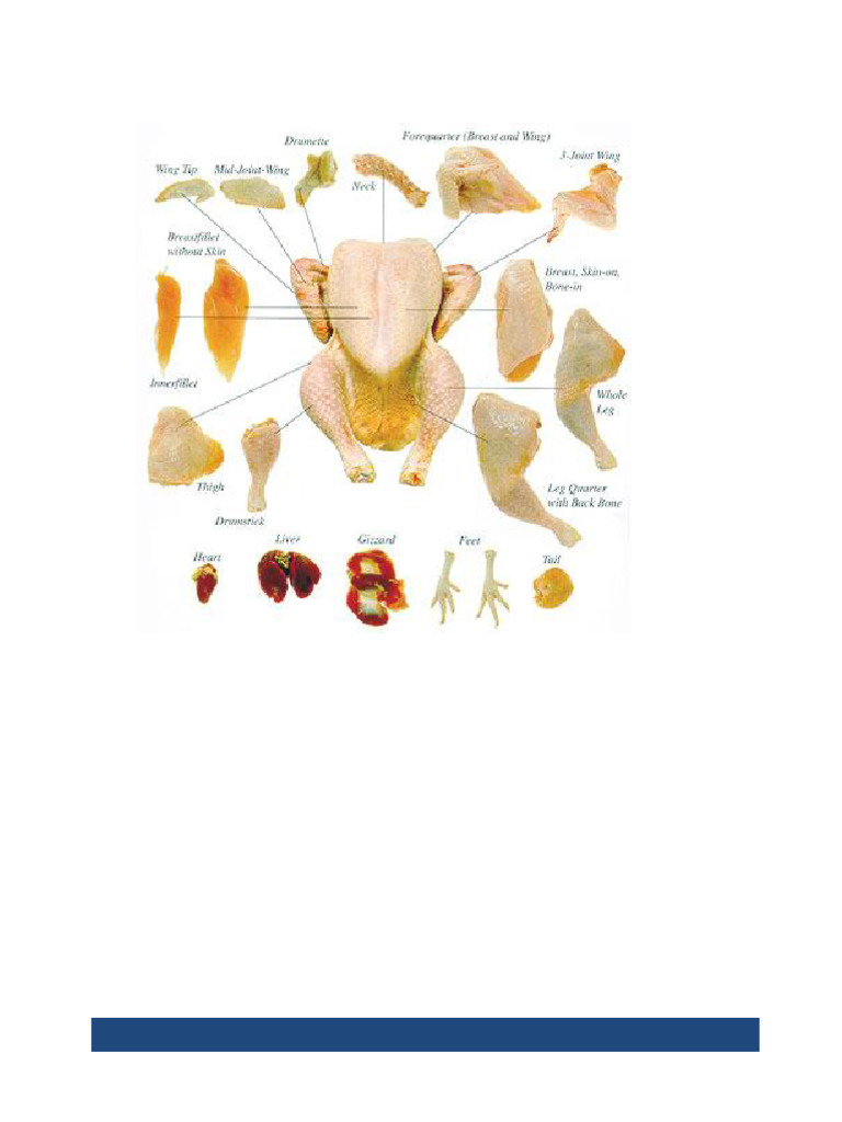 Chicken Cuts | PDF