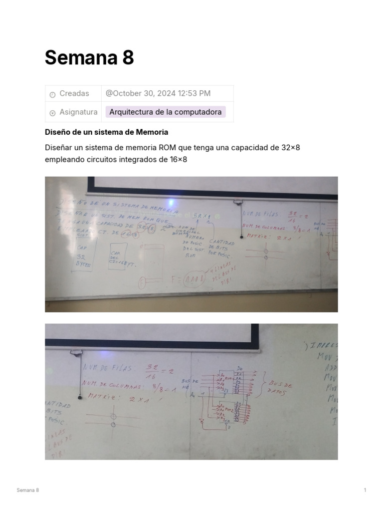 semanaq 8 notion | PDF