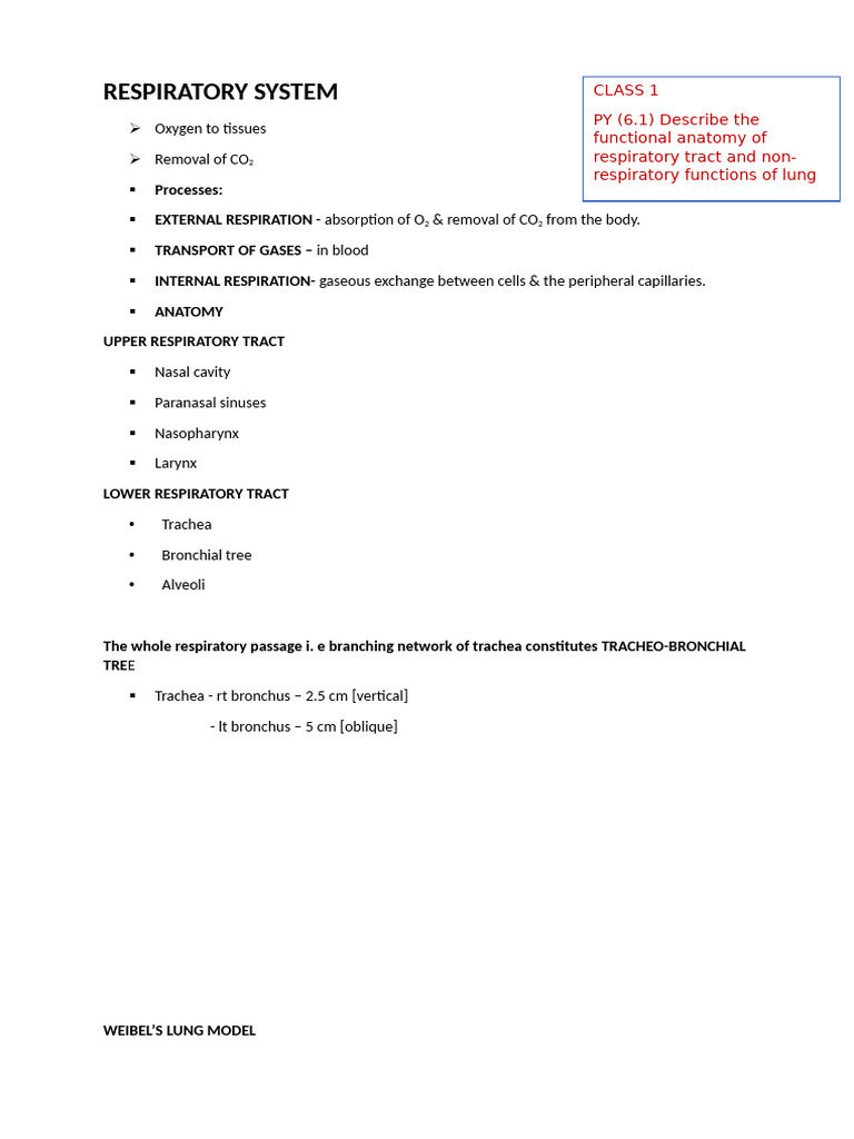 Notes Class 1 Pdf Respiratory Tract Lung 6196