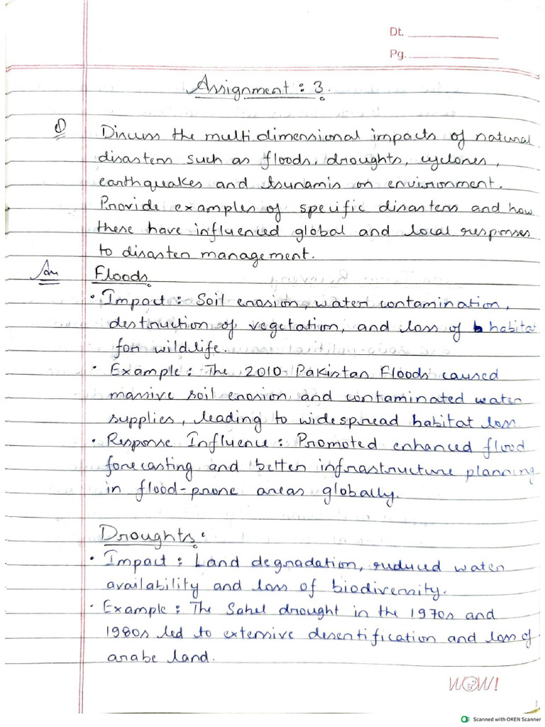 Disaster Management 3 | PDF
