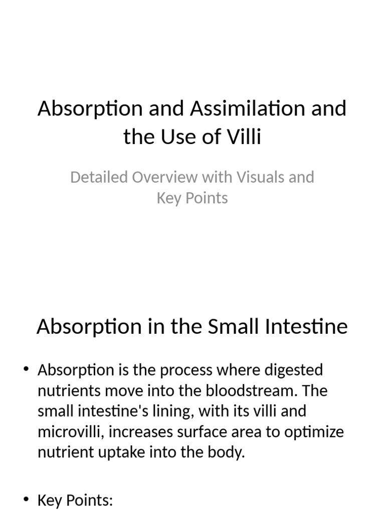 Absorption Assimilation Villi Presentation | PDF