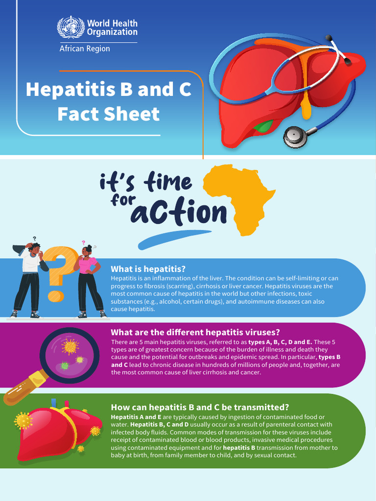 Flyer Hepatitis B and C Fact Sheet - OK | PDF | Hepatitis | Hepatitis B