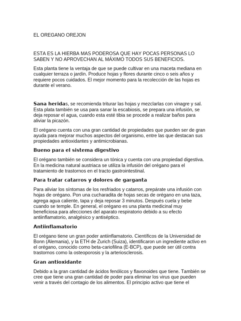 El Oregano Orejon | PDF | Orégano | Resfriado comun