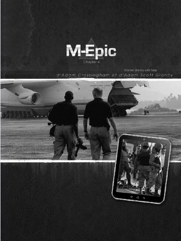 MEPIC | PDF