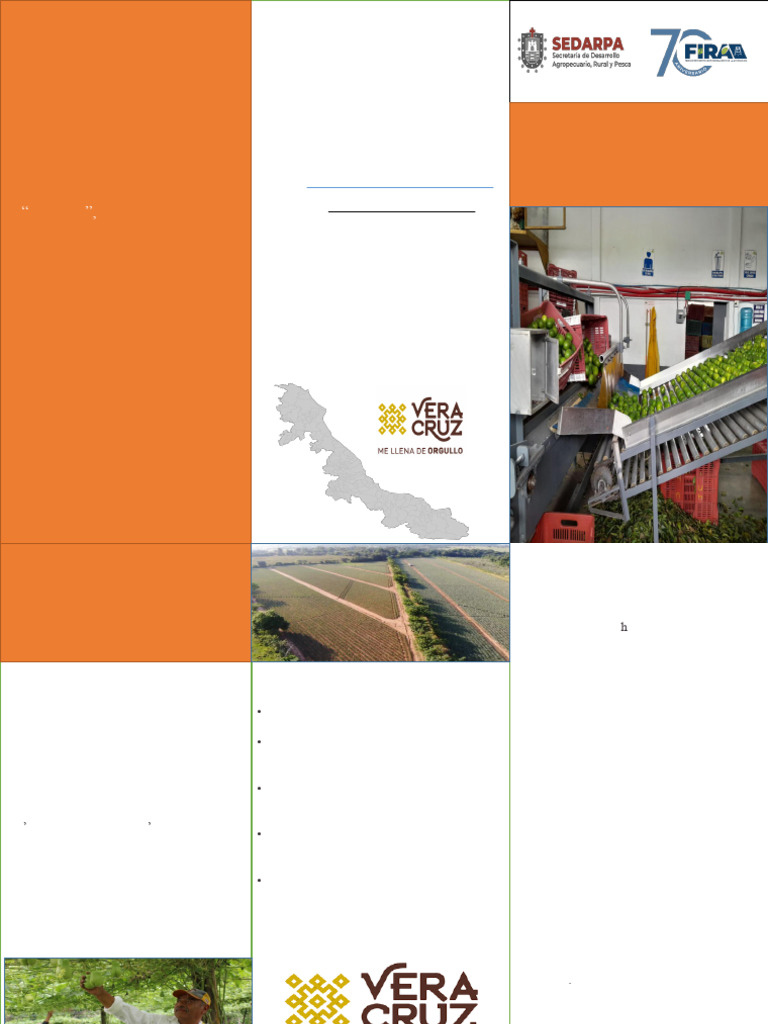 Triptico PROEM 2024 V02 | PDF | Agricultura | Economias
