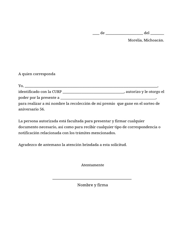 Documento A4 Carta Poder Formal Blanco y Gris | PDF