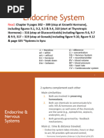 Grade 12 Endocrine System Notes | PDF | Endocrine System | Pancreas
