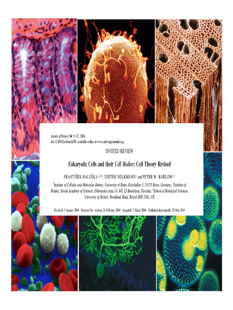 Biotec Sem - Origem Celula Eucarionte | PDF | Célula (Biologia) | Núcleo celular