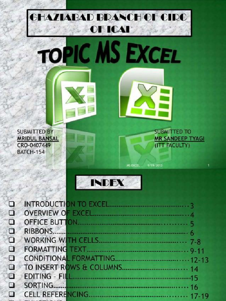 MS Excel | PDF