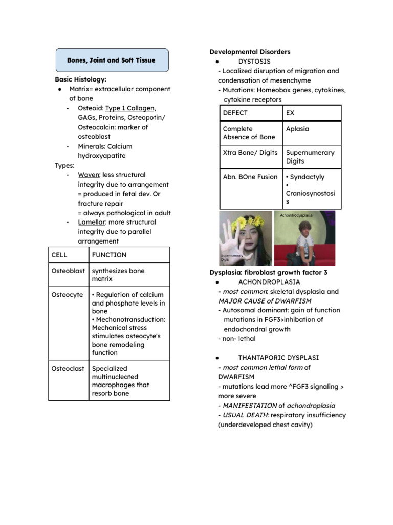 Bones, Joint and Soft Tissue | PDF | Bone | Osteoblast