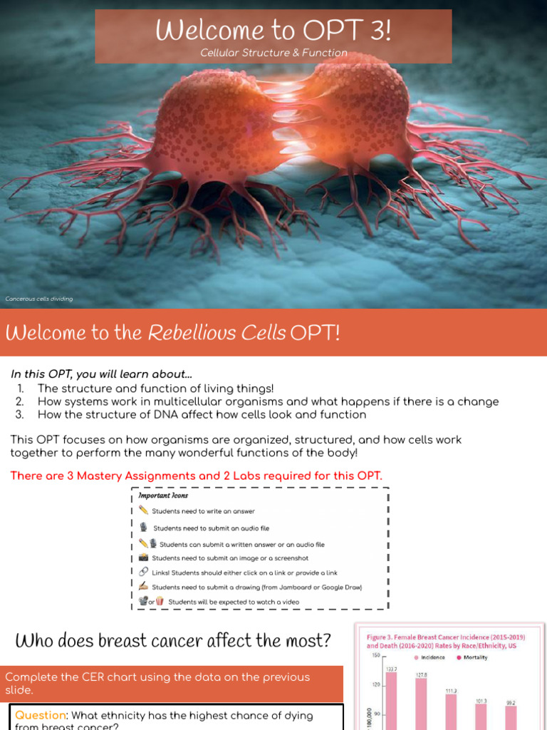 Copy of 1 - Cellular Structure & Function | PDF | Cancer | Breast Cancer Copy of 1 - Cellular Structure & Function | PDF | Cancer | Breast Cancer
