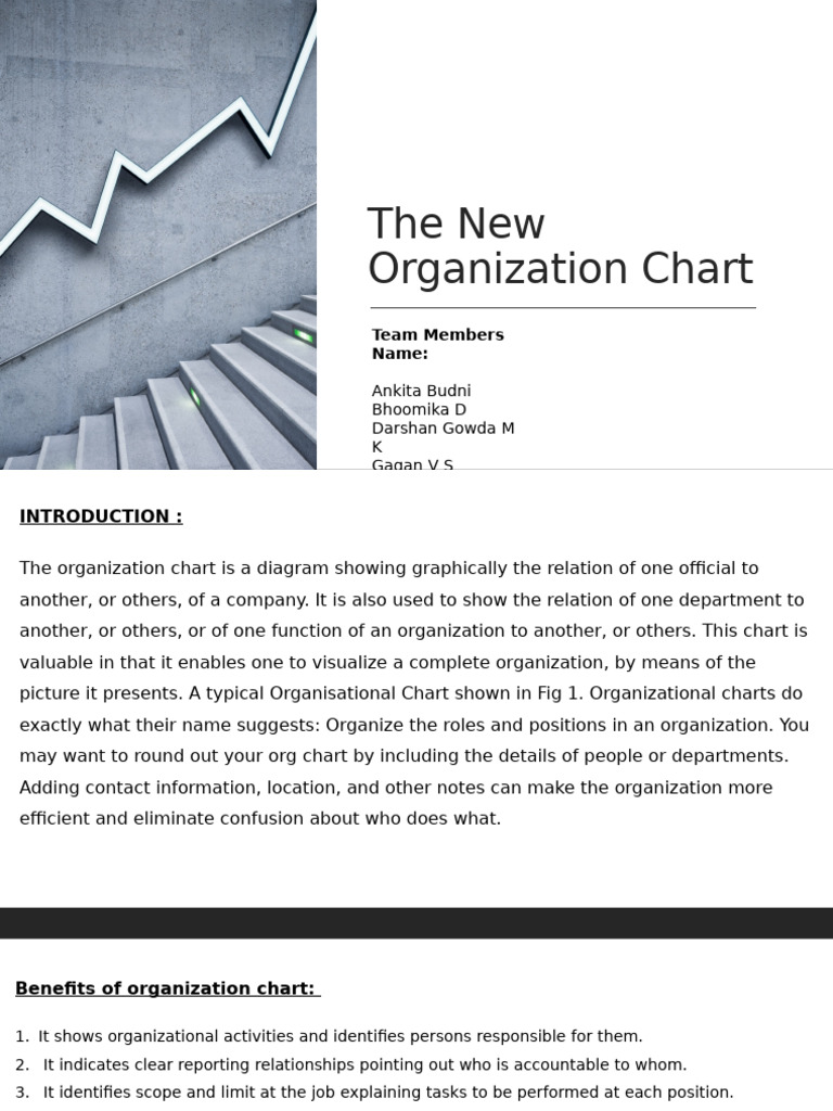 The New Organization Chart | PDF | Organizational Structure | Hierarchy