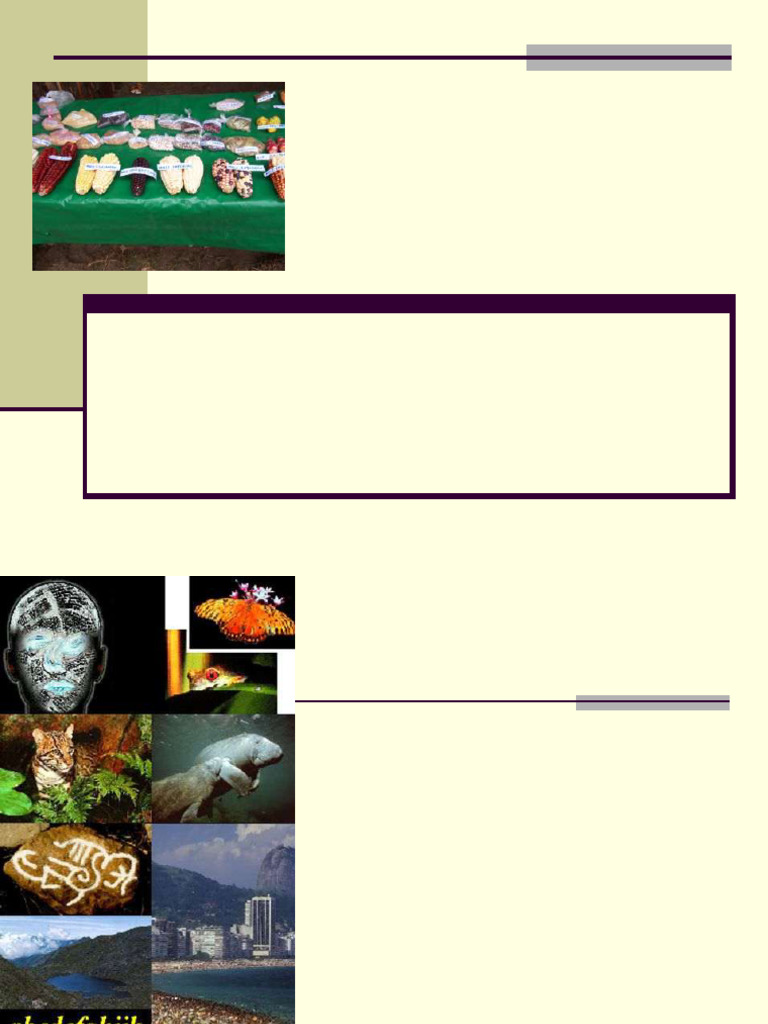 Eco Dialogo Bio Divers I Dad Unt | PDF | Entorno natural | Biodiversidad