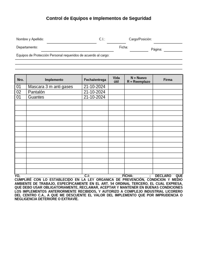 Formato Control de ENTREGA DE EPP | PDF