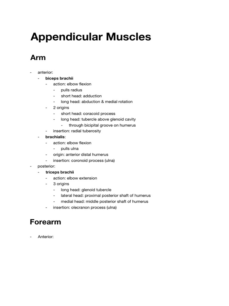 Appendicular Muscles | PDF | Human Leg | Anatomical Terms Of Motion